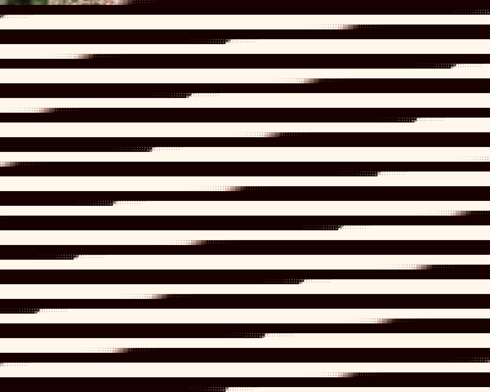 Amazon Ads Design and Creative