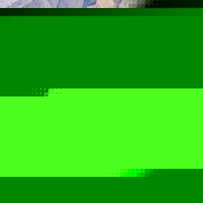 Business and Corporate Development