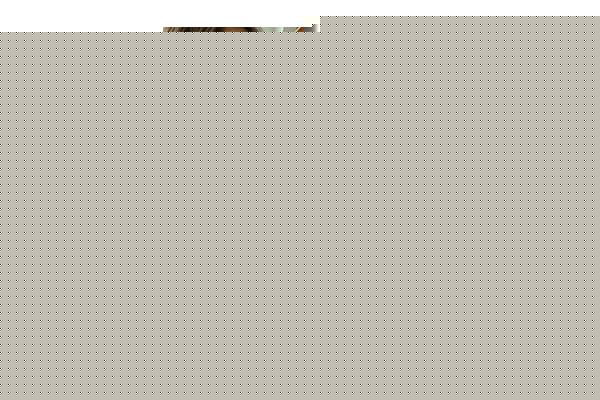 Software Development At Aws Shaping The Future Of Cloud Computing