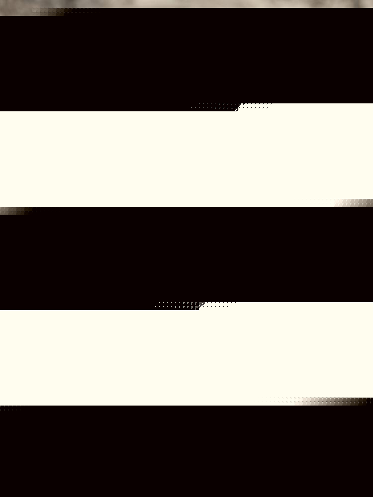 Amazon Artificial General Intelligence AGI