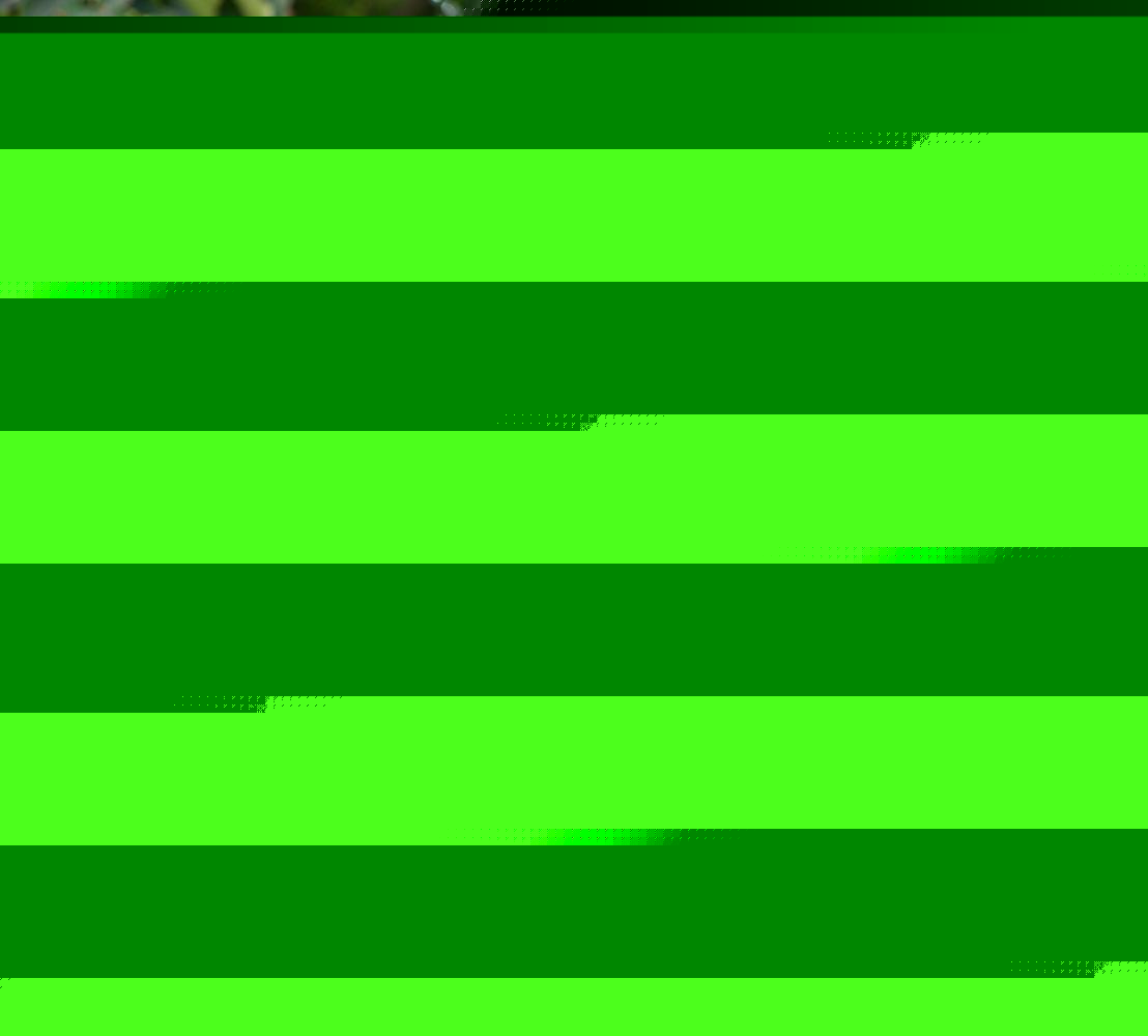 Campaign and Creative Management