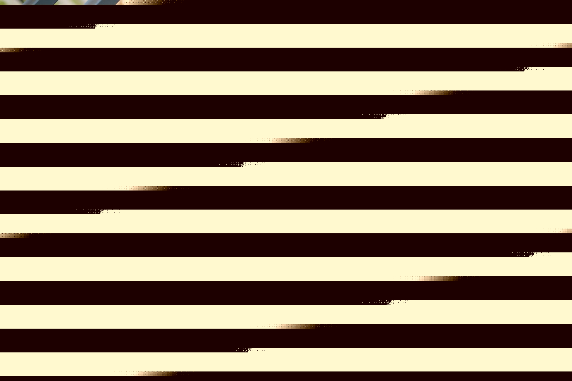 Amazon Women of the World