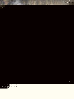 Amazon Artificial General Intelligence AGI