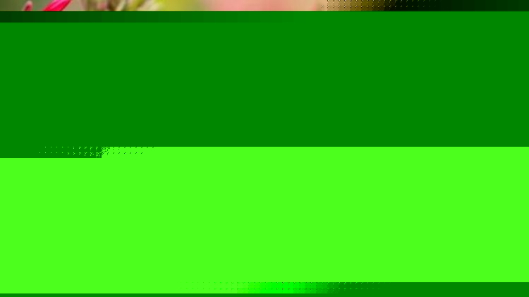 Amazon Artificial General Intelligence AGI