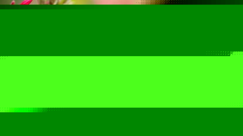 Amazon Artificial General Intelligence AGI